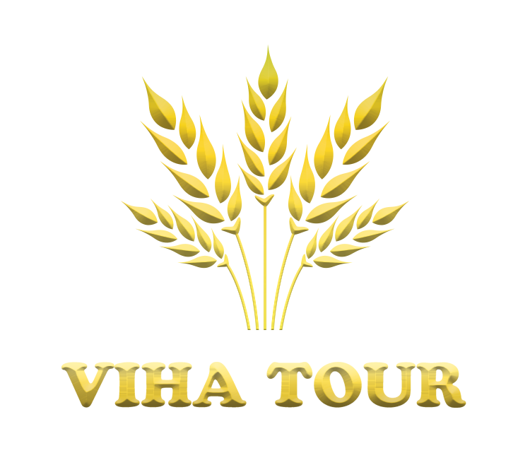 Tours - ViHa Tours